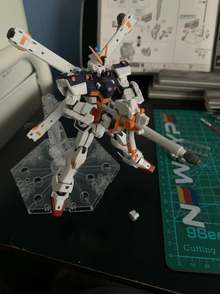 Finally finished the RG Crossbone Gundam | Fandom