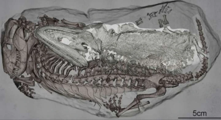 the original cuddle buddies | Fandom