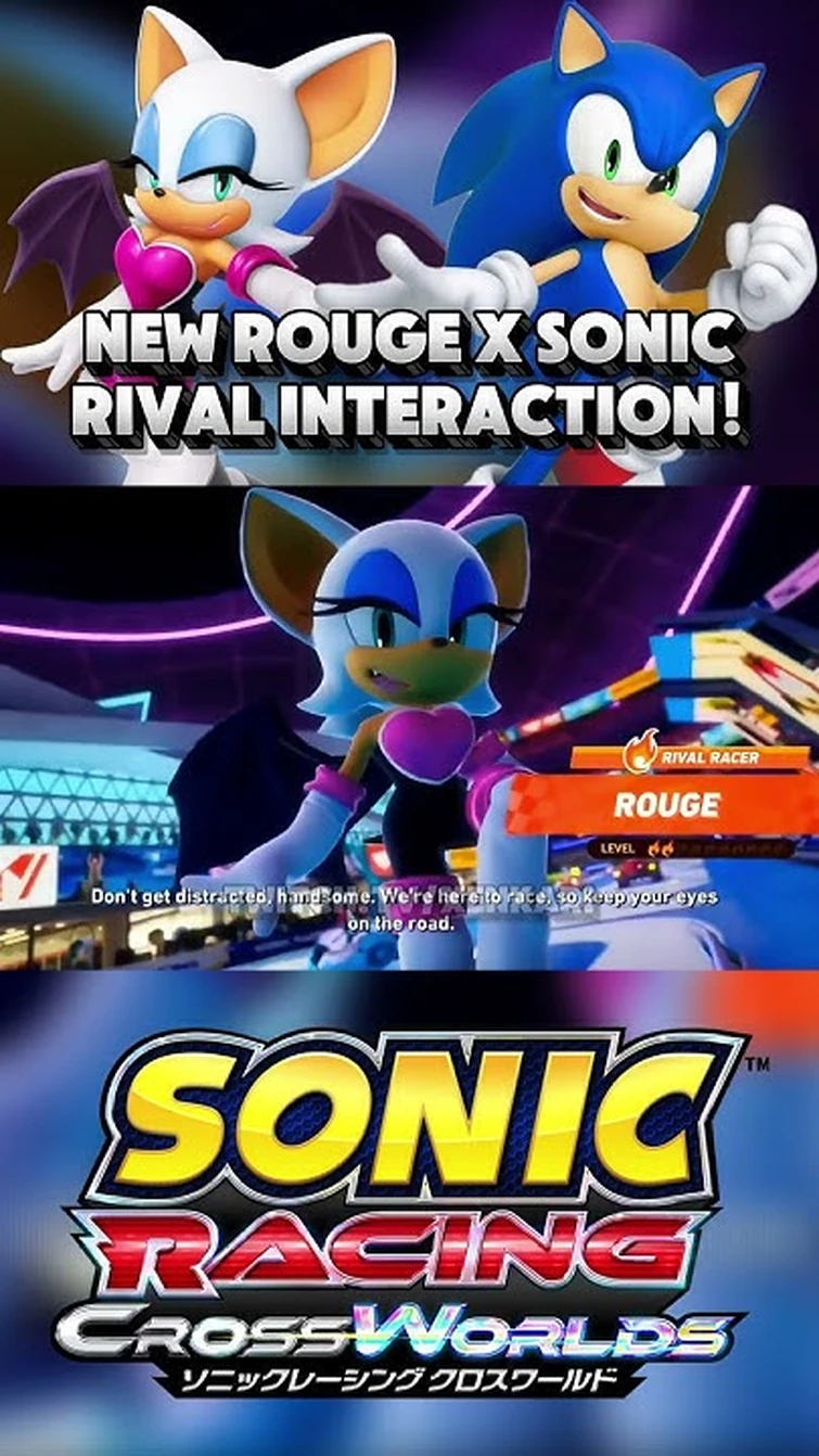 Sonic and Rouge Rivalry went a bit too far | Fandom