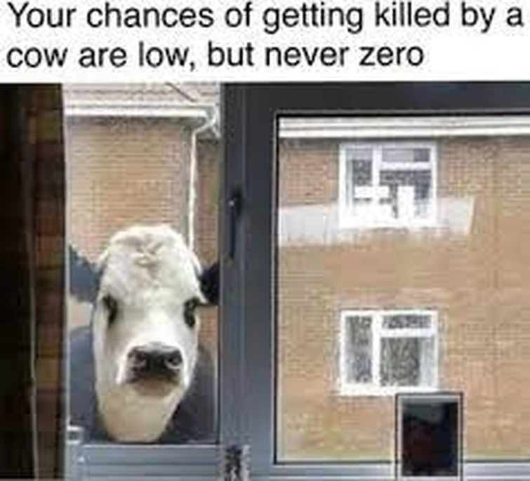 cow memes because i am cow | Fandom