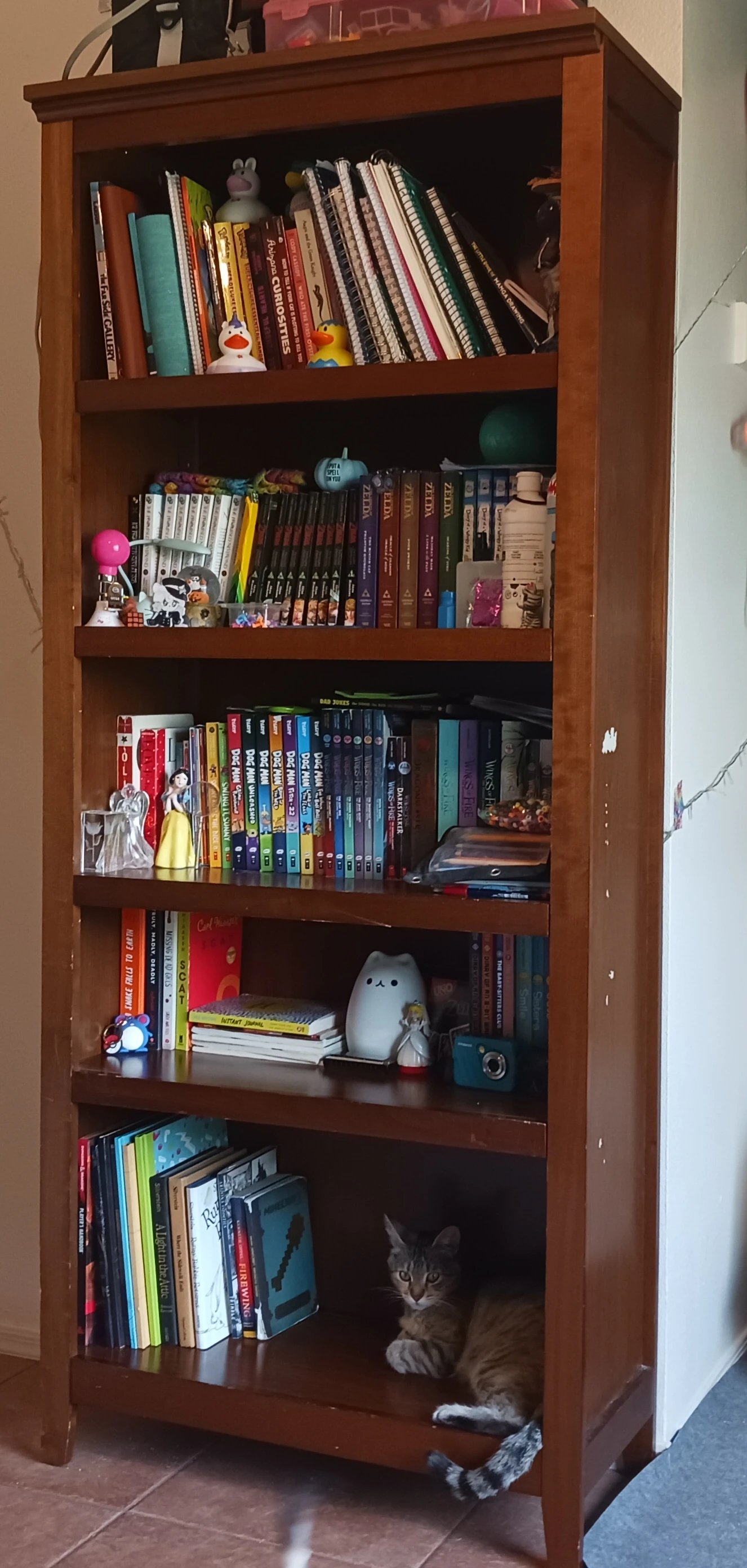 Finally organized my bookshelf !!! | Fandom