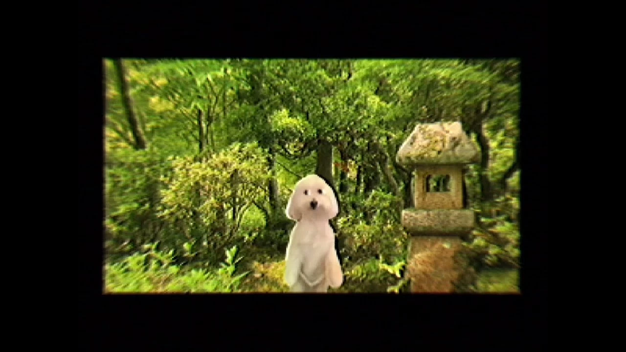 guys im scared... | Fandom