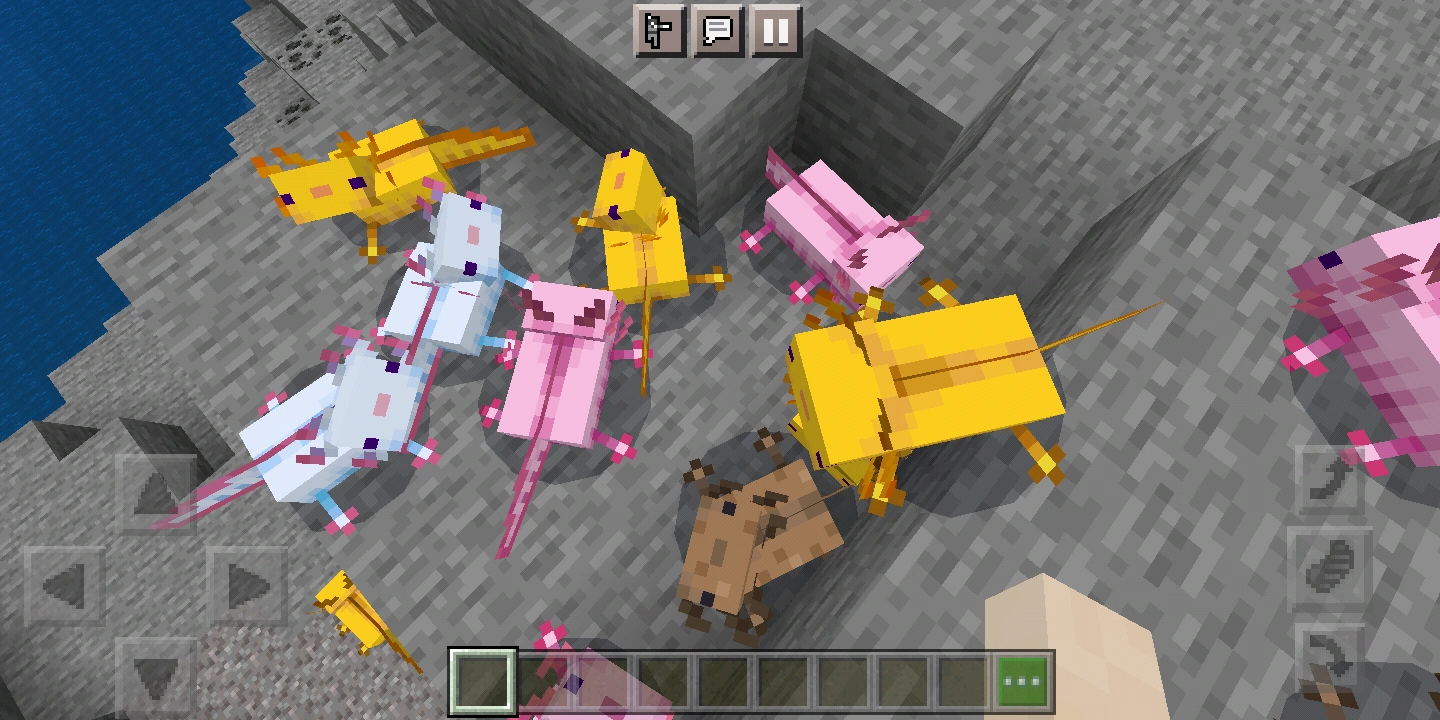 Axolotls in Minecraft | Fandom