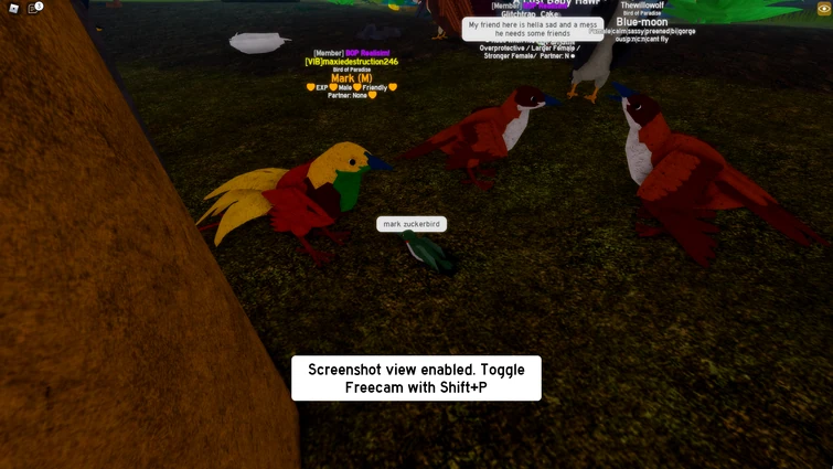 Discuss Everything About Feather Family Wiki | Fandom