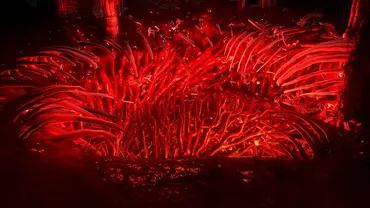 Discuss Everything About Murder Drones Wiki | Fandom