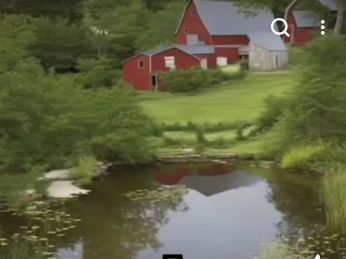 look at this barn | Fandom