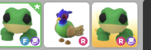 Finally got my twin frogs! | Fandom