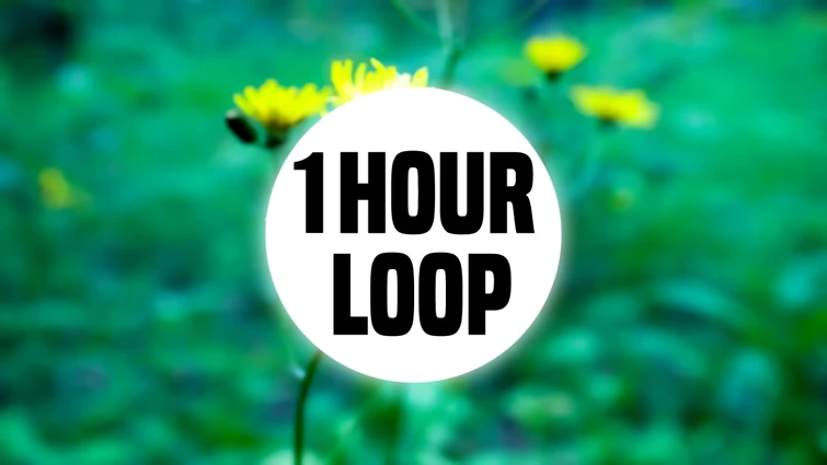 Anyone wanna have this as a gift? | Fandom