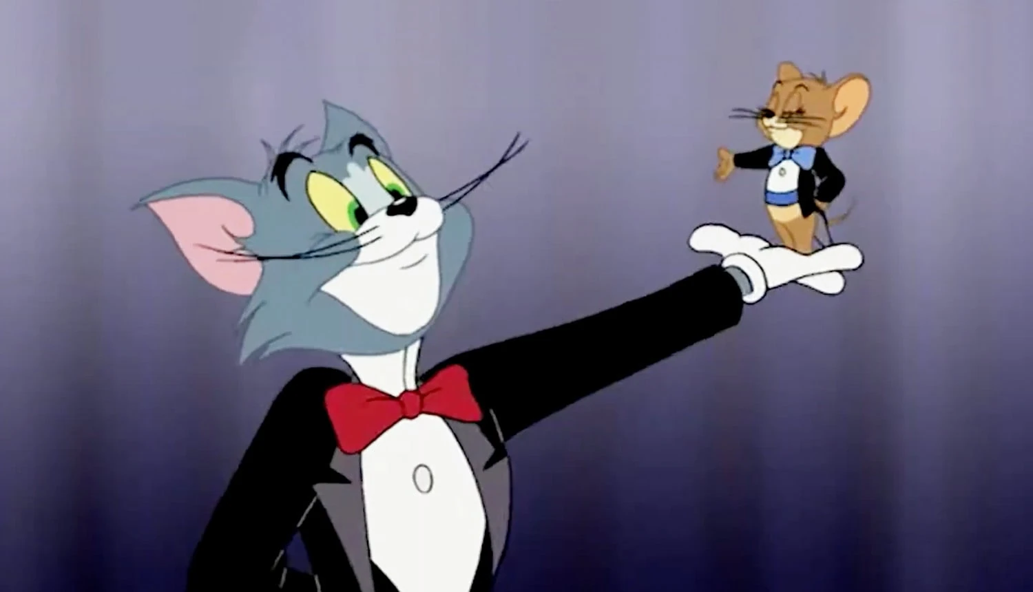 How powerful is Tom (Tom And Jerry) | Fandom