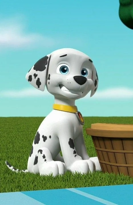 Marshall look cute | Fandom