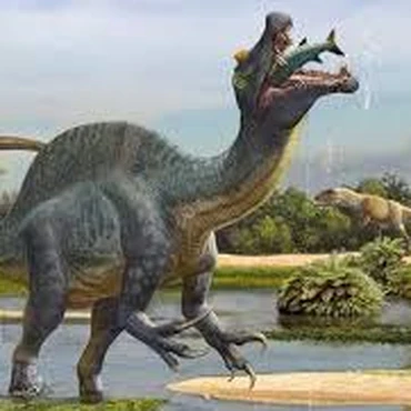 Discuss Everything About Dinopedia | Fandom