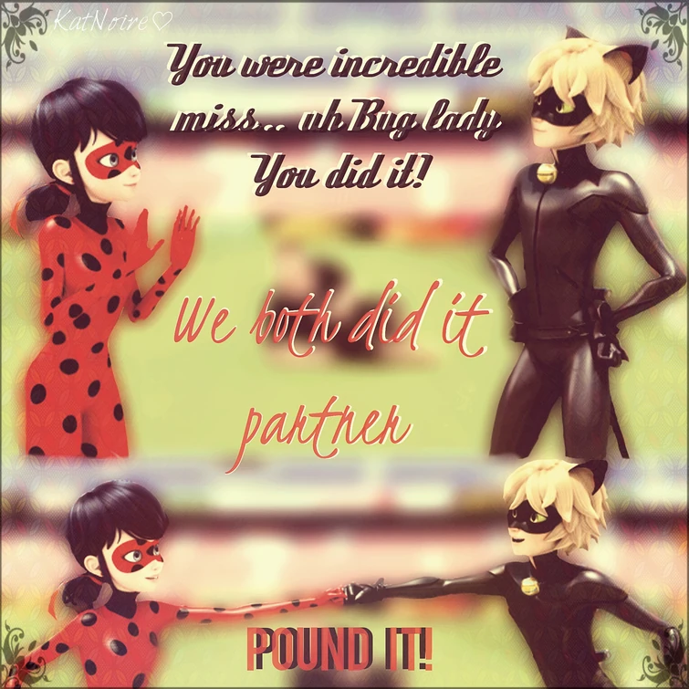 LadyNoir Moment? | Day 33 | Fandom