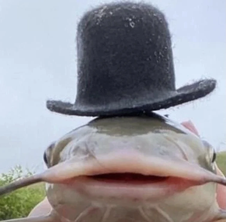 goofy ahh shitpost | Fandom