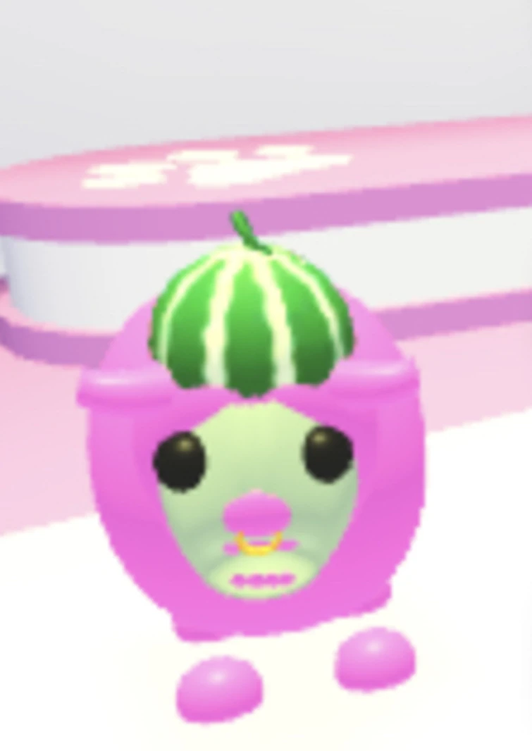 Melon 🍉💕 | Fandom