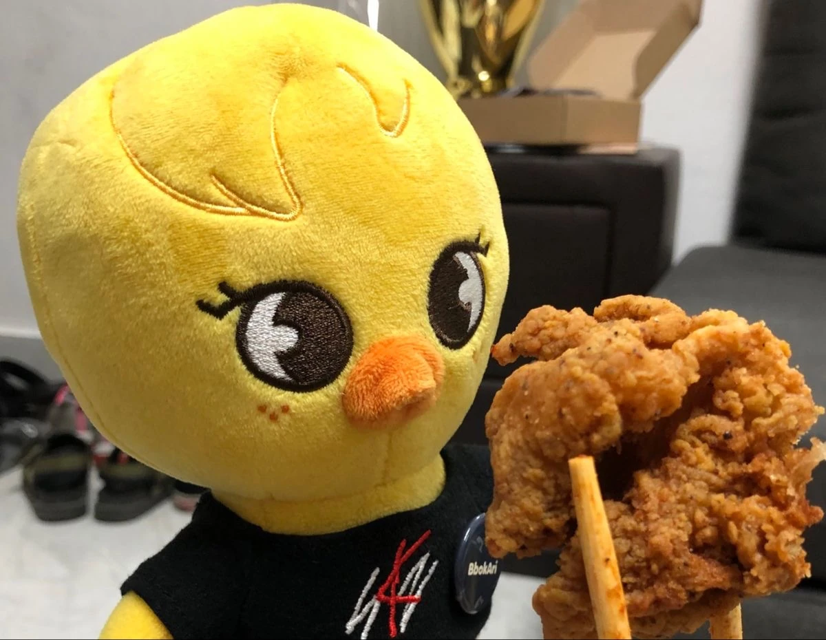 daily skzoo (day 1) | Fandom