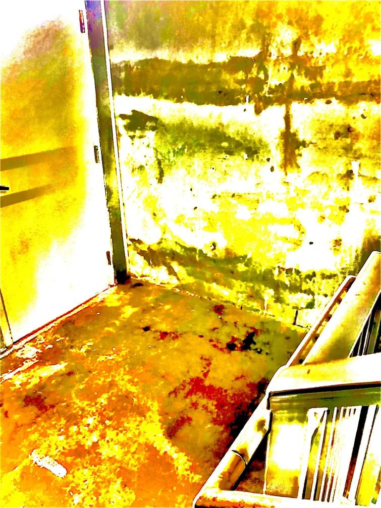 Discuss Everything About Fanmade levels of the backrooms Wiki | Fandom