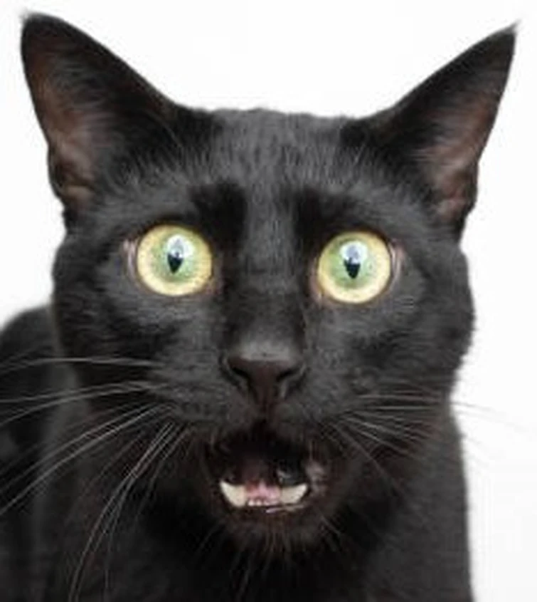 OMG. A COS CREATURE BOYBAND. | Fandom