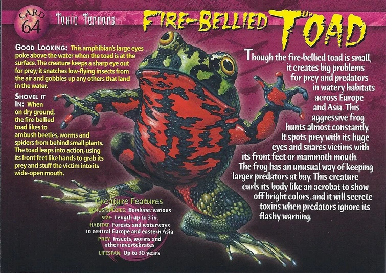 Card post 8 - Fire Bellied Toad | Fandom