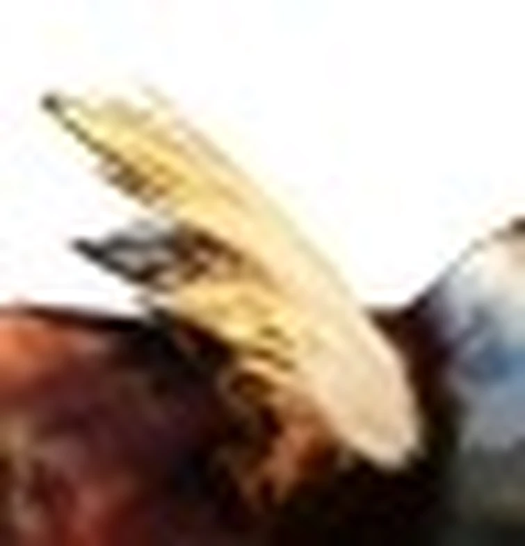 Who’s that monster!?!? #15 | Fandom