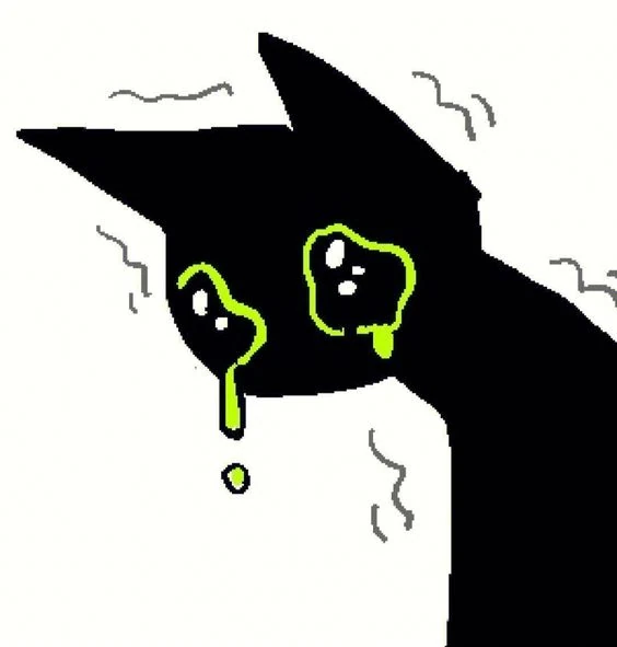 Last pfp competition | Fandom