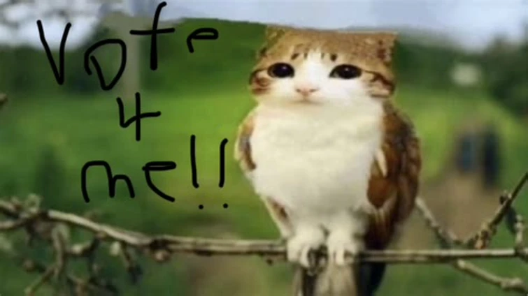 what the hell is happening here | Fandom