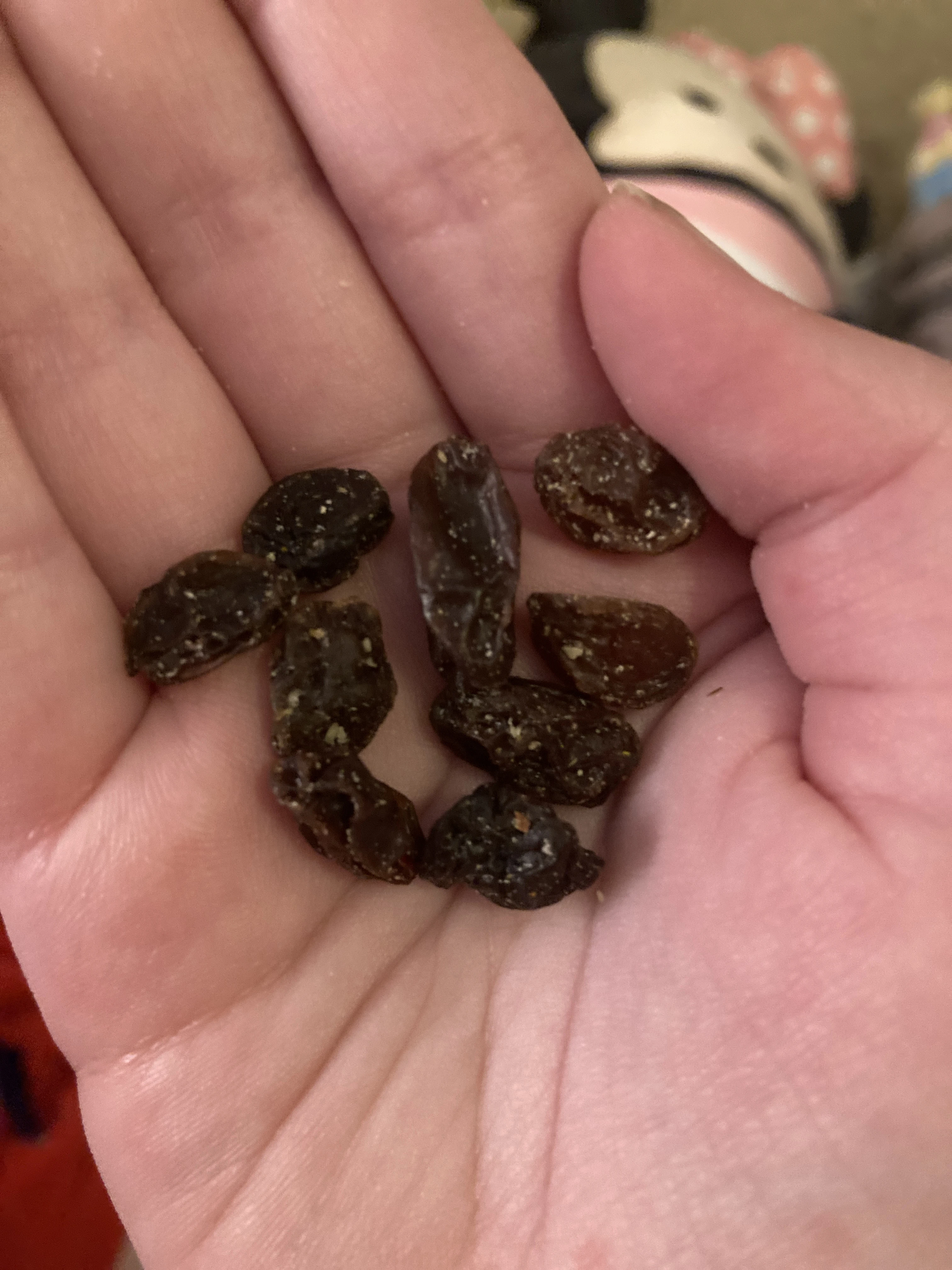 Please do not let Raisin Cookie see this | Fandom