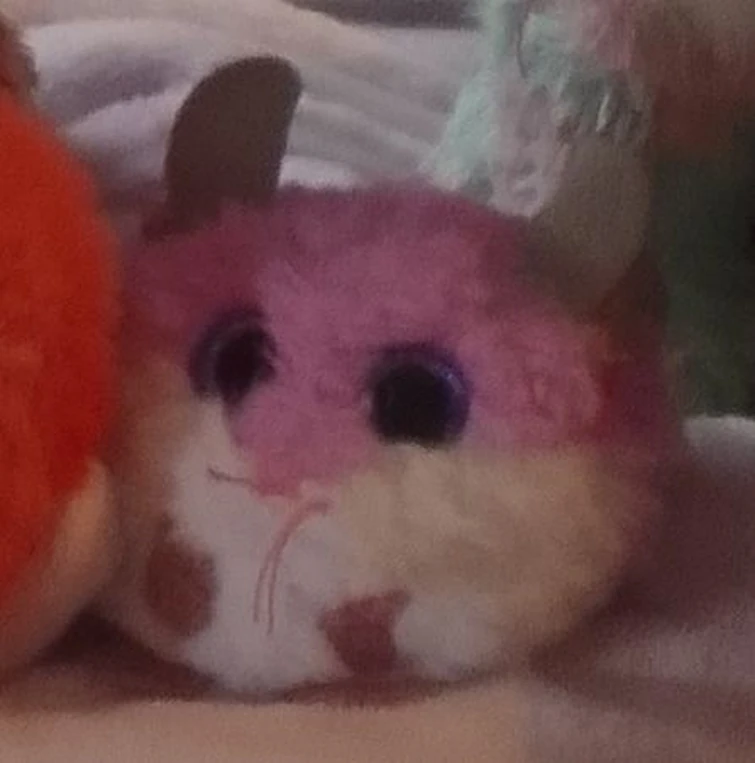My Beanie Boos collection so far | Fandom