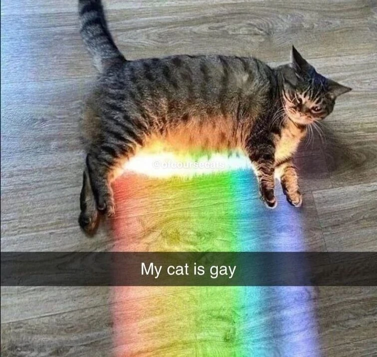 y sure he ain't just a mirror | Fandom