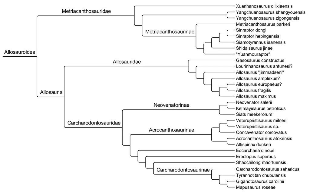 When did all the families of allosauroids diverge from each other and ...