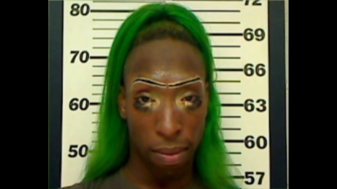 real-photo-of-my-mugshot-in-2045-fandom