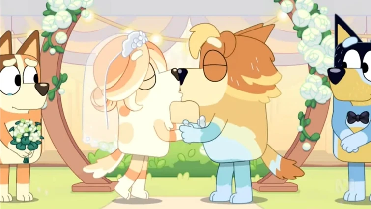 We've seen... | Fandom