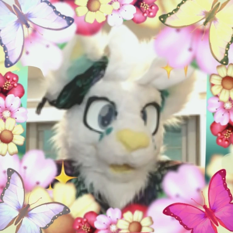 Furry stuff | Fandom