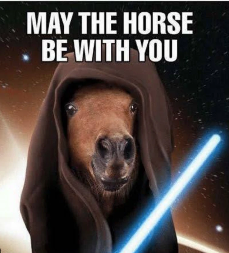 All posts by Softye~ | Fandom