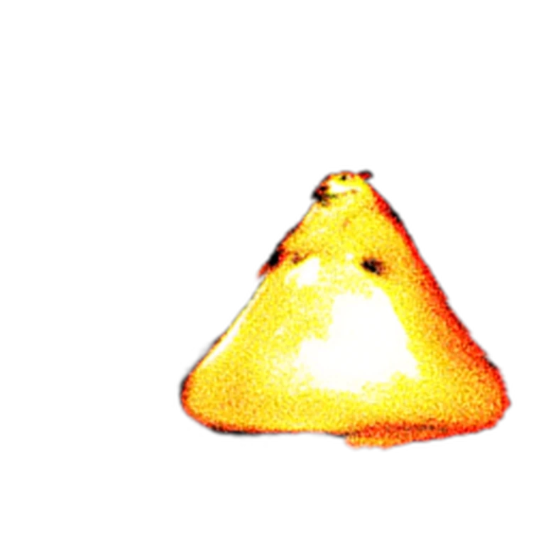 I deepfried my Dorito Chip Chomik | Fandom