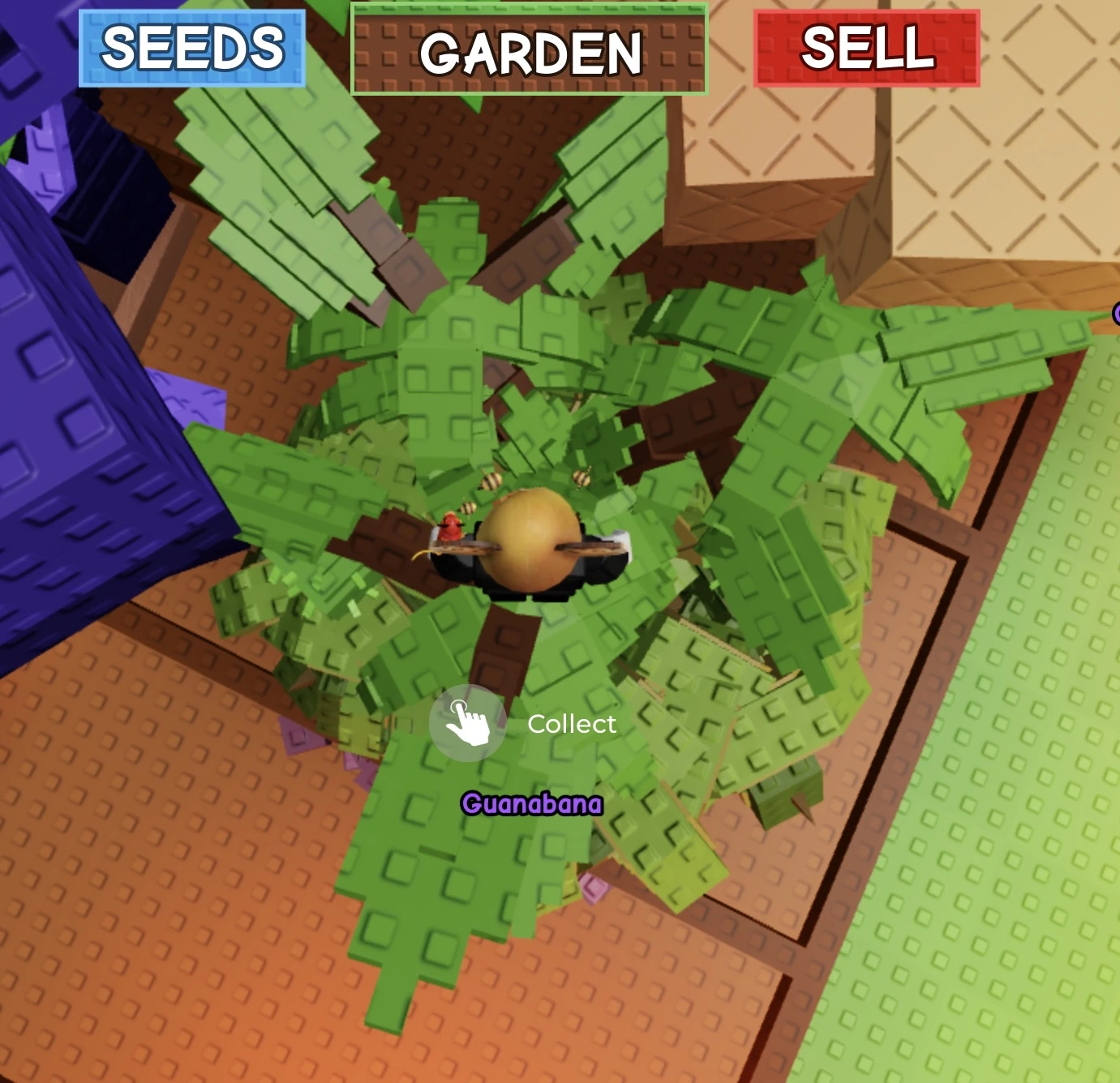 The spiky fruit mound | Fandom