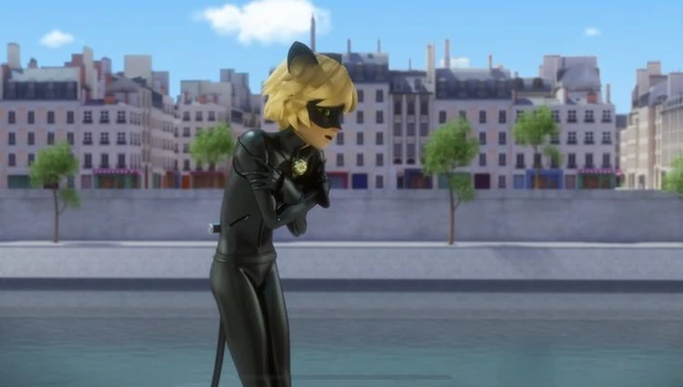 Why is Cat Noir scared of everything? (Wrong answers only) | Fandom