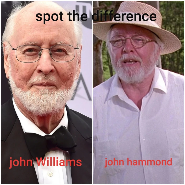 Daily jp meme | Fandom