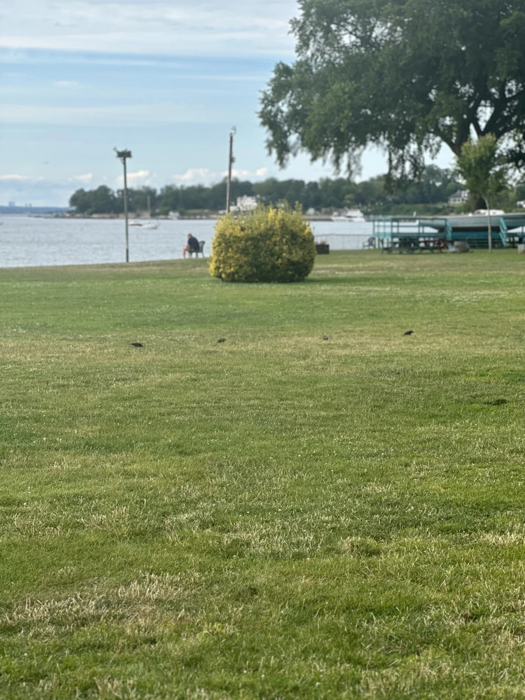 Uh oh they here | Fandom