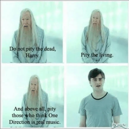 Dumbledore the wise 🤣🤣 | Fandom