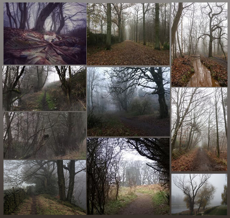 Which aesthetic? | Fandom