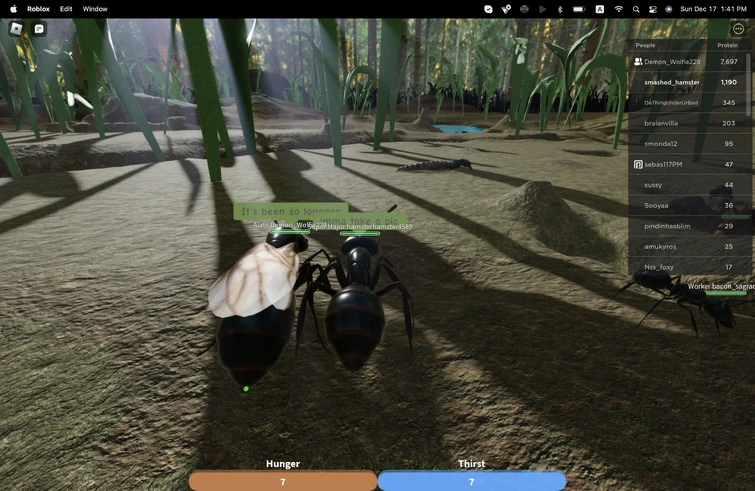 Discuss Everything About Ant Life Wiki | Fandom