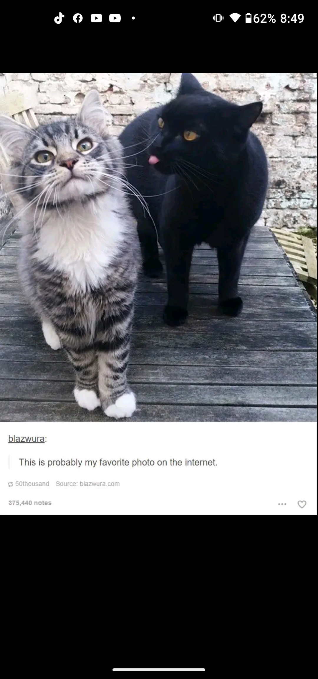 *me giving all of my characters trauma and terrible back stories* | Fandom