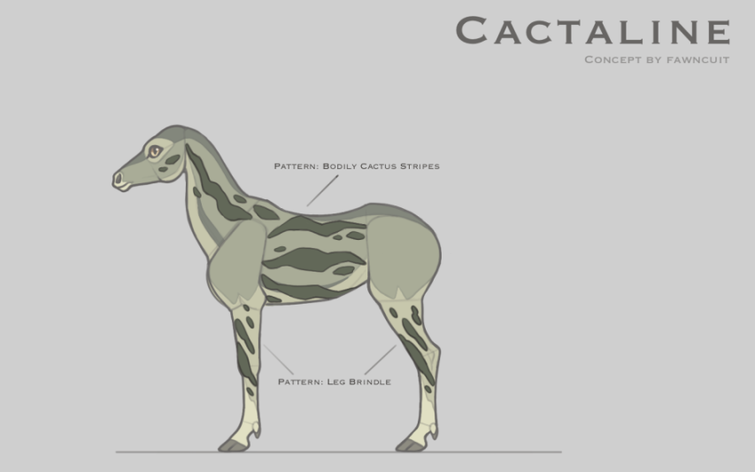 Discuss Everything About Horse Life Wiki | Fandom