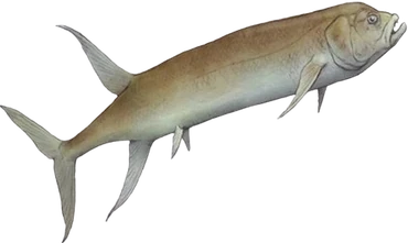 Discuss Everything About Dinopedia | Fandom