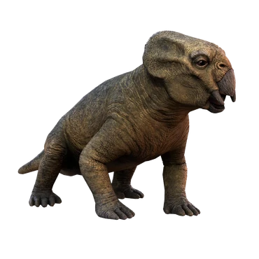 Criatura favorita | Fandom