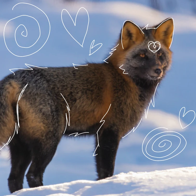 Discuss Everything About Otherkin Wiki | Fandom