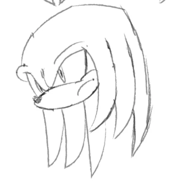 Practicing Knuckles! | Fandom