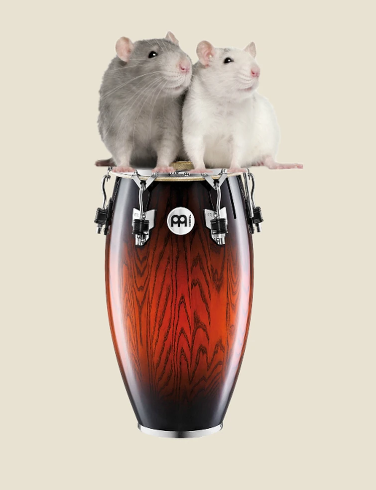 LETS GOOO I COMPLETED THE NEXUS!! | Fandom