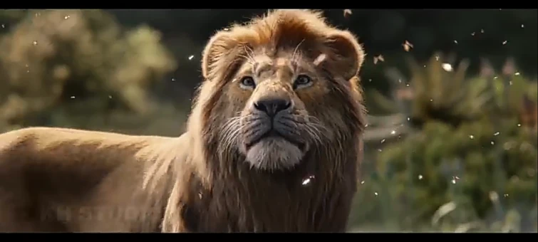 Live Action Madagascar remake film in the works | Fandom