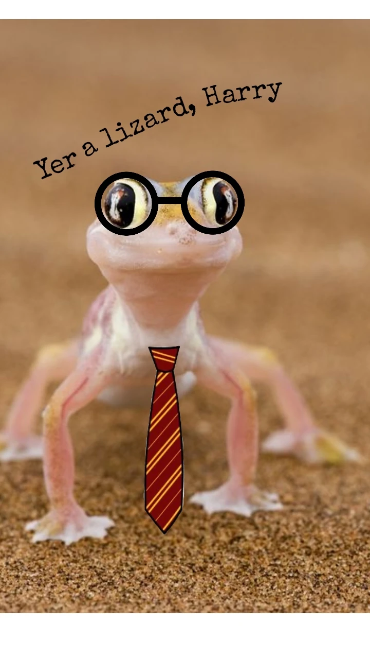 "Yer a Lizard, Harry." | Fandom